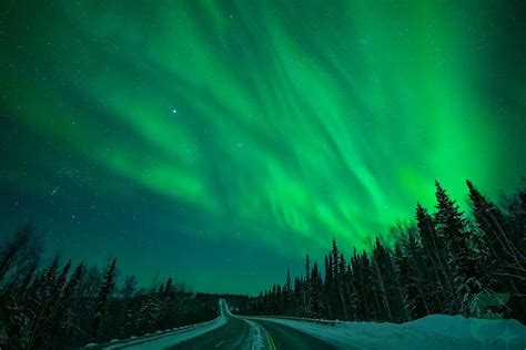 Far North Aurora Tours Tutto Quello Che Cè Da Sapere 2026