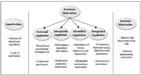 Self Determination Continuum Download Scientific Diagram