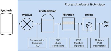 Process Analytical Technology In Downstream Processing Of Drug