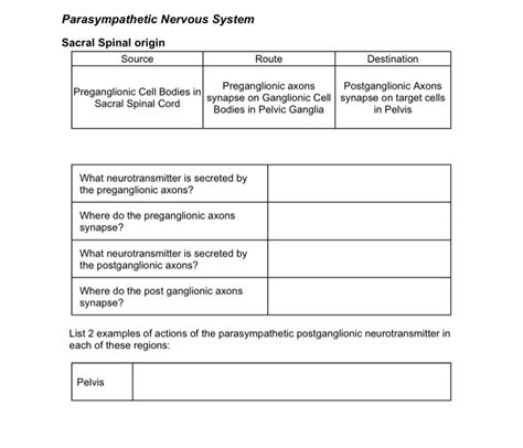 Solved Parasympathetic Nervous System Brainstem Origin