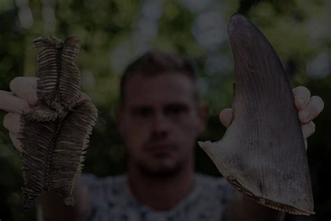 Science And Conservation Simon Hilbourne