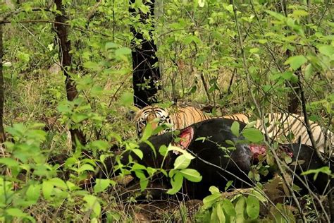 Indranil Mukherjee 2026 Reviews All You Need To Know Before You Go