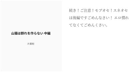 R 18 2 山猫は群れを作らない 中編 山猫は群を作らない 片栗粉の小説シリーズ Pixiv