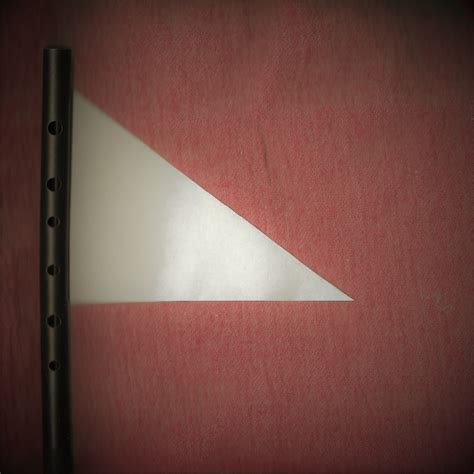 A Small White Flag Mark Lenover