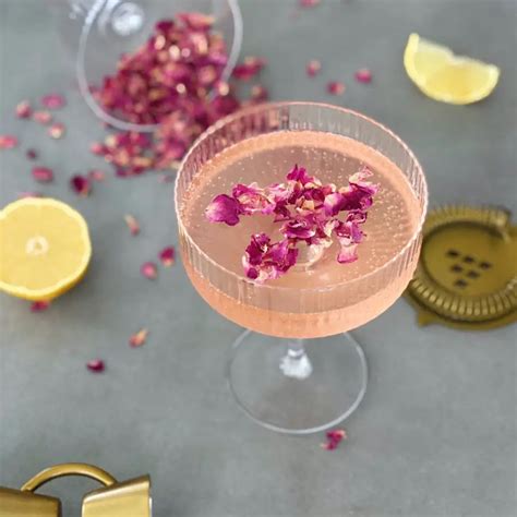 15 Easy And Refreshing Spritz Cocktail Recipes Mandm Bites