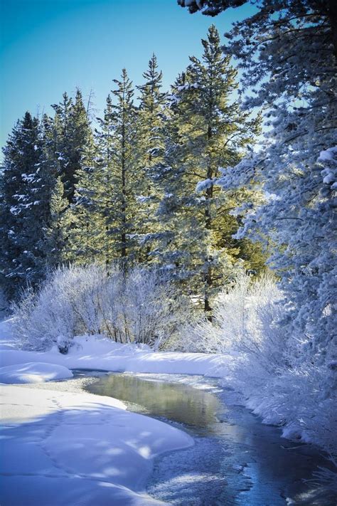 🇺🇸 Sawtooth National Forest Idaho By Angela Reed On National
