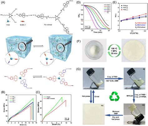 A Design Concept And Synthesis Route Of Puu Vitrimers B Download Scientific Diagram