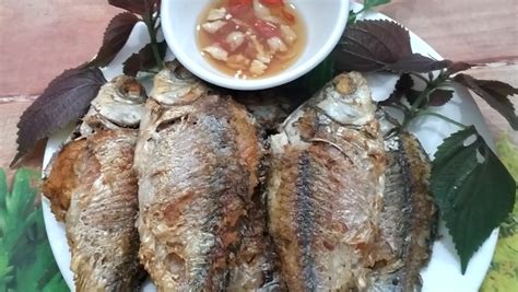 Hướng Dẫn Cách Làm Cá Rán ăn Bún Tuyệt Chiêu để Có Món ăn Ngon Miệng