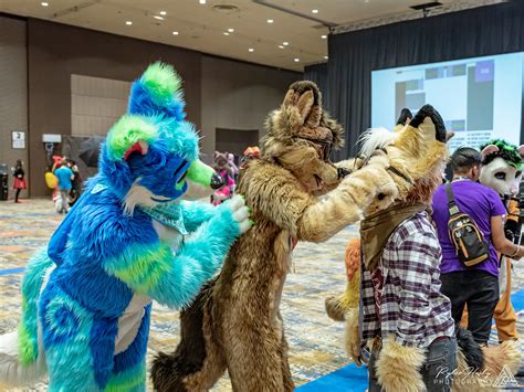Fursuit Festival Rykerhusky Photography
