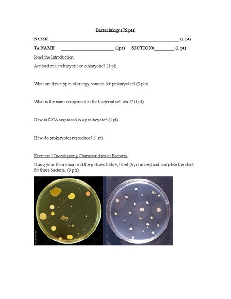 Bacteriology F22 Worksheet Bacteriology 76 Pts Name Studocu