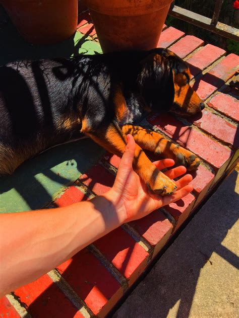 Leigh Hutton Leigh Hutton Twitter