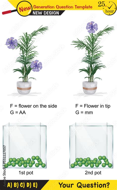 Biology Heredity Combination Mendelian Genetics Heredity Peas Experiment Genotype