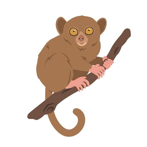Tarsier Cartoon Illustration Prosimian Cartoon Clipart Character