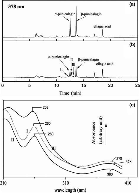 Reactions Of Polyphenols In Pomegranate Peel With Nitrite Under Simulated Stomach Conditions Pmc