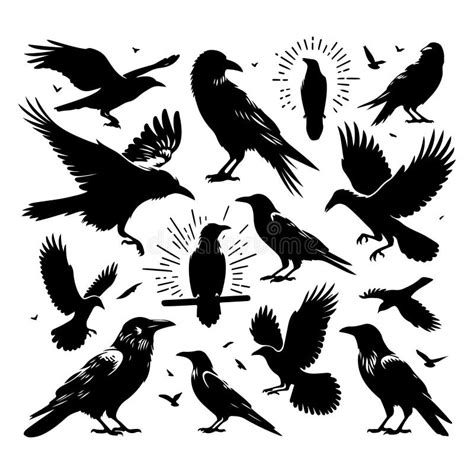 Set Of Crow Silhouette Vector On A White Background Stock Illustration
