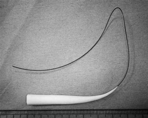 Bioabsorbable Polymer Plug Download Scientific Diagram