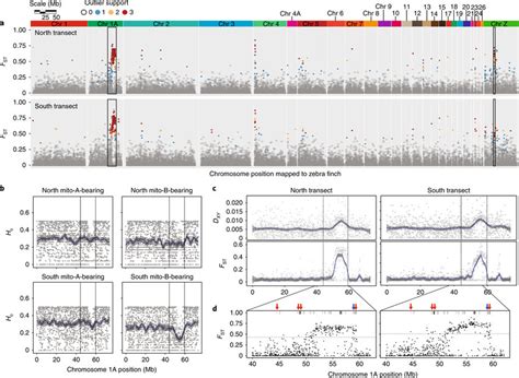 Heterogeneous Genomic Differentiation Between Mito A And Download