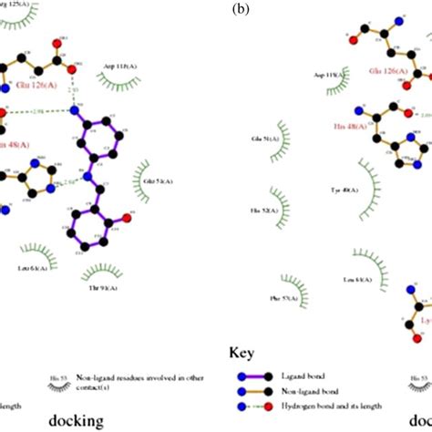 Two‐dimensional Plot Of Interaction Between Schiff Base Ligand H2l