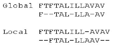 Global And Local Sequence Alignment Download Scientific Diagram