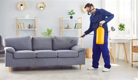 Florida Ant Control Identify The 5 Worst Pest Ants