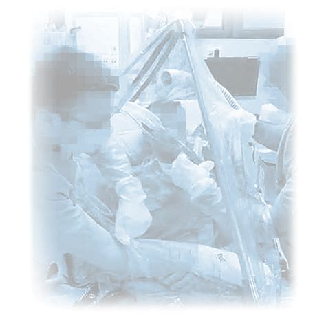 Isoark Isolation Systems Portable Chambers And Stretchers Beth El