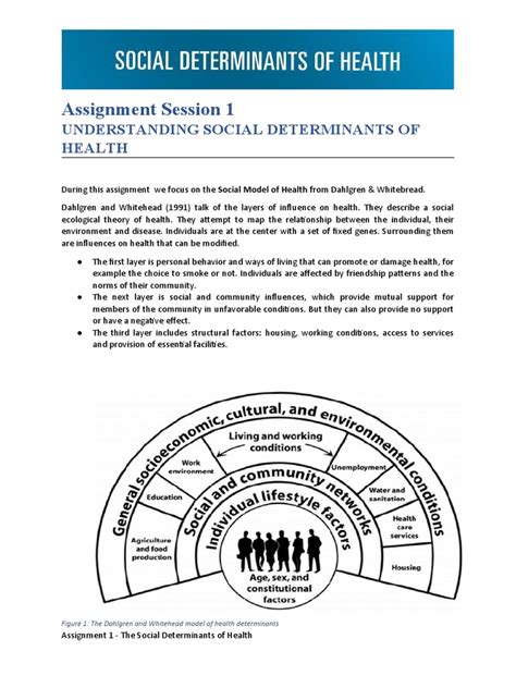 Assignment 1 Understanding The Social Determinants Of Health Final Pdf Community Behavior