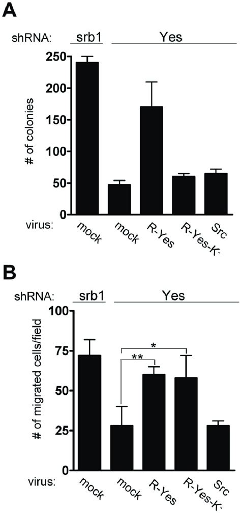 c src expression does not restore transforming properties of c yes