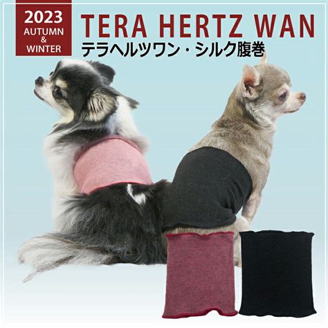【楽天市場】《レビューで300円クーポン進呈》テラヘルツワン・シルク腹巻 大きいサイズ 犬腹巻き 犬用 ペットウェア 秋冬用 大型犬 あったか