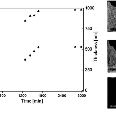 Bert Klumperman Phd Dsc Stellenbosch University Stellenbosch Sun Department Of