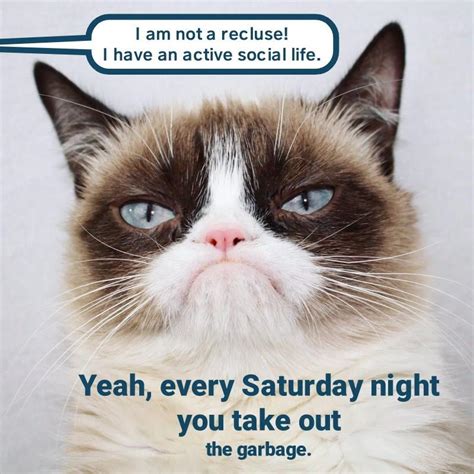 Ouch Lolcats Lol Cat Memes Funny Cats Funny Cat Pictures With