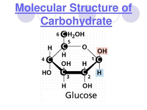 Macromolecules Ppt Download