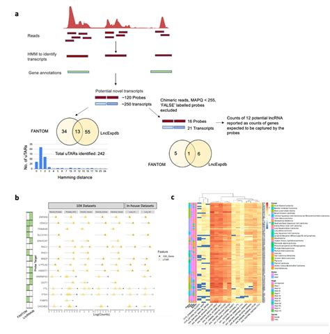 A The Transcriptionally Active Regions Identified Using A Hmm