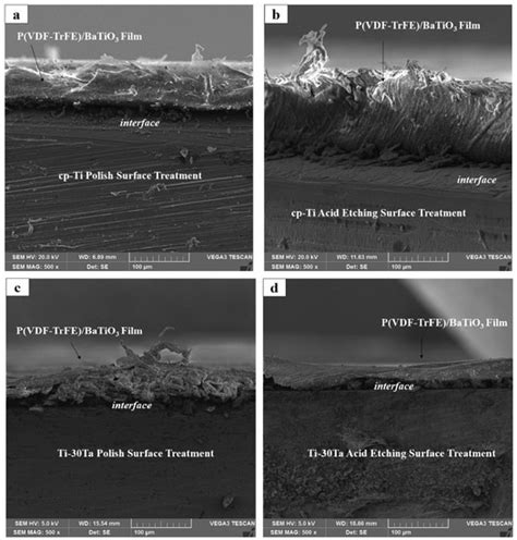 Metals Special Issue Surface Modification Of Metallic Biomaterials