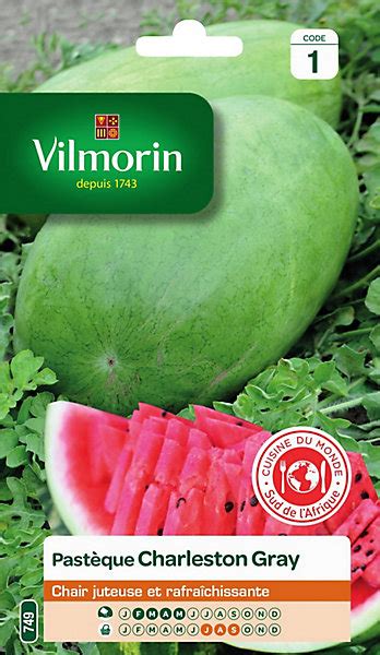 Graines De Pastèque Charleston Gray