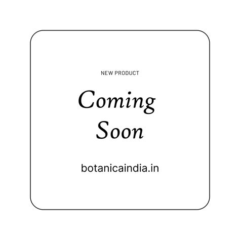 Jowar Sorghum Spp Botanica