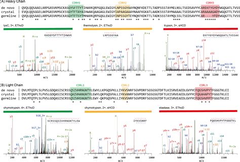 Antibody Sequencing Services Mtoz Biolabs