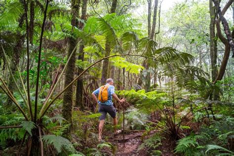 El Yunque National Forest Guide Updated October 2025