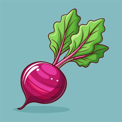 Fresh Beetroot Vegetable Vector Layout Design Premium Ai Generated Vector