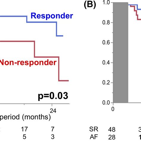 Recurrence‐free Rates After Catheter Ablation The Gray Zone Indicates
