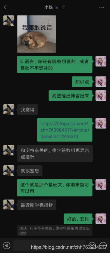 【c语言】小妹不懂指针和数组的关系？那就安排指针数组关系详解 csdn博客