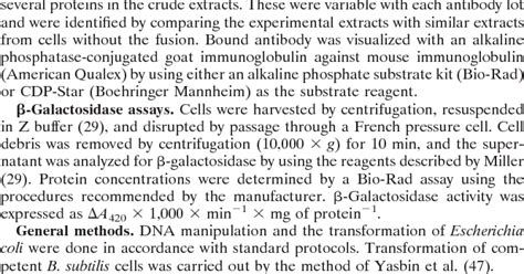Table 1 From Bacillus Subtilis Mutant Sige Transcription Factor In Wild Type And Forespore
