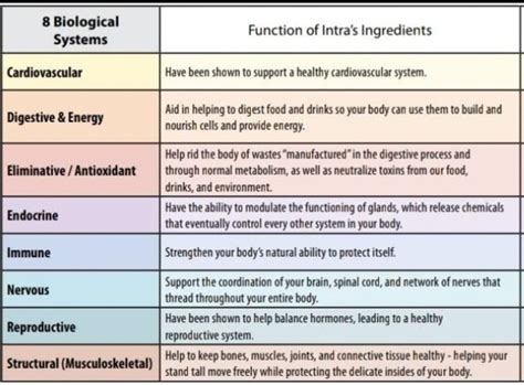 ‼️💯mga Functions Intra Madrid España 𝓫𝔂 Malou Vegilia Facebook
