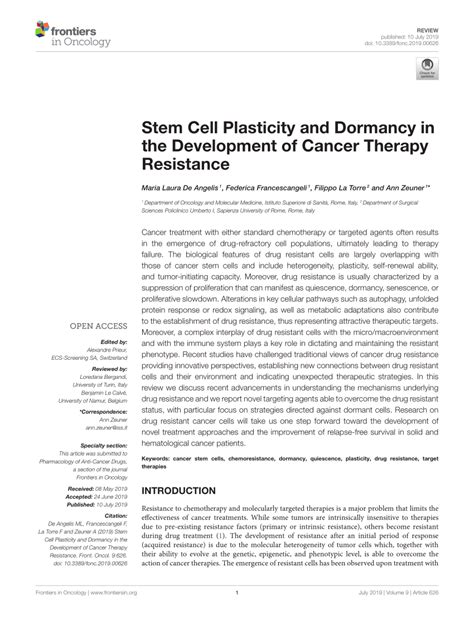 Pdf Stem Cell Plasticity And Dormancy In The Development Of Cancer
