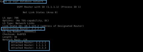 Top OSPF LSA Types Explained