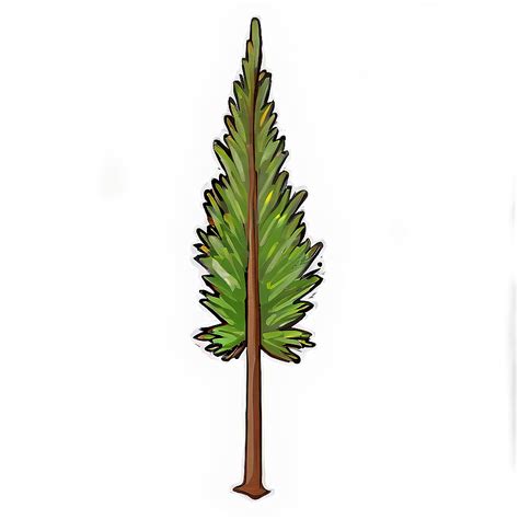 Pine Tree Sapling Png 06132024 Png Image