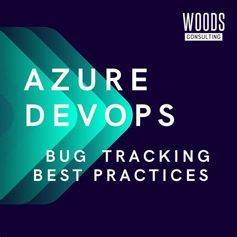 Bug Tracking Best Practices Microsoft Dynamics Consultant Zach Woods