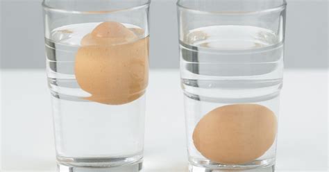 Egg Float Test Hard Boiled At Douglas Borba Blog