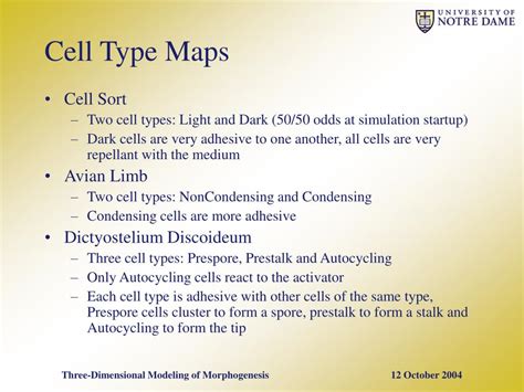 Ppt Three Dimensional Simulation Of Morphogenesis Powerpoint