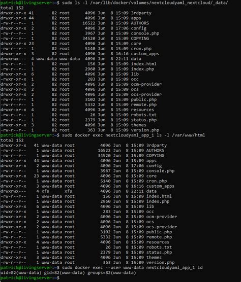 Docker container does not have write permission on config directory ℹ Support Nextcloud