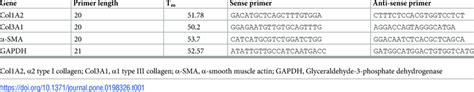 Primers Used For Real Time Reverse Transcription Polymerase Chain